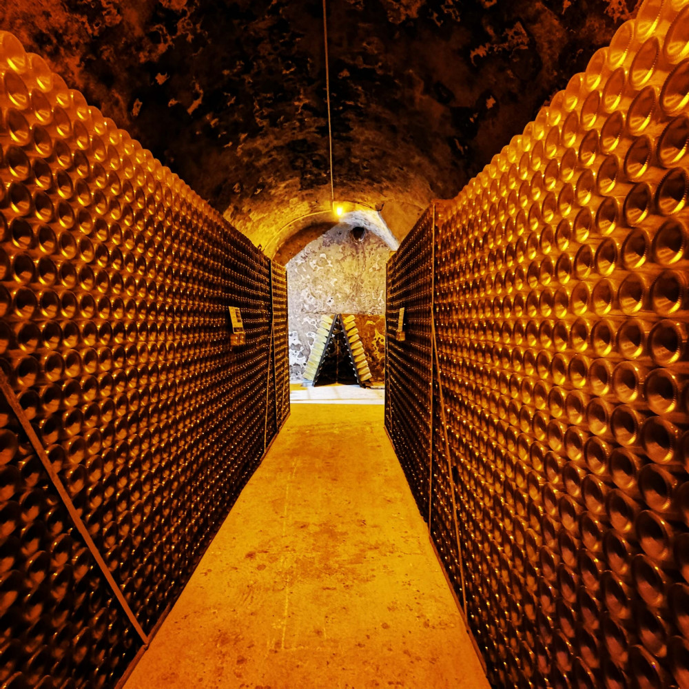 Champagne Day Tour & Tasting: Veuve Clicquot, Family Estate, lunch ...