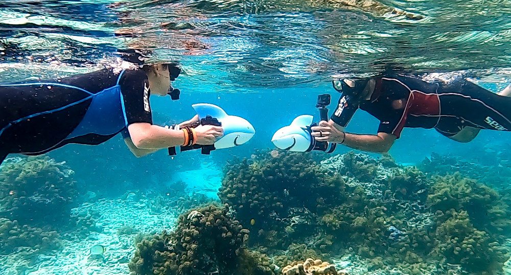 'ATAE Safari Ocean Tahiti | Project Expedition