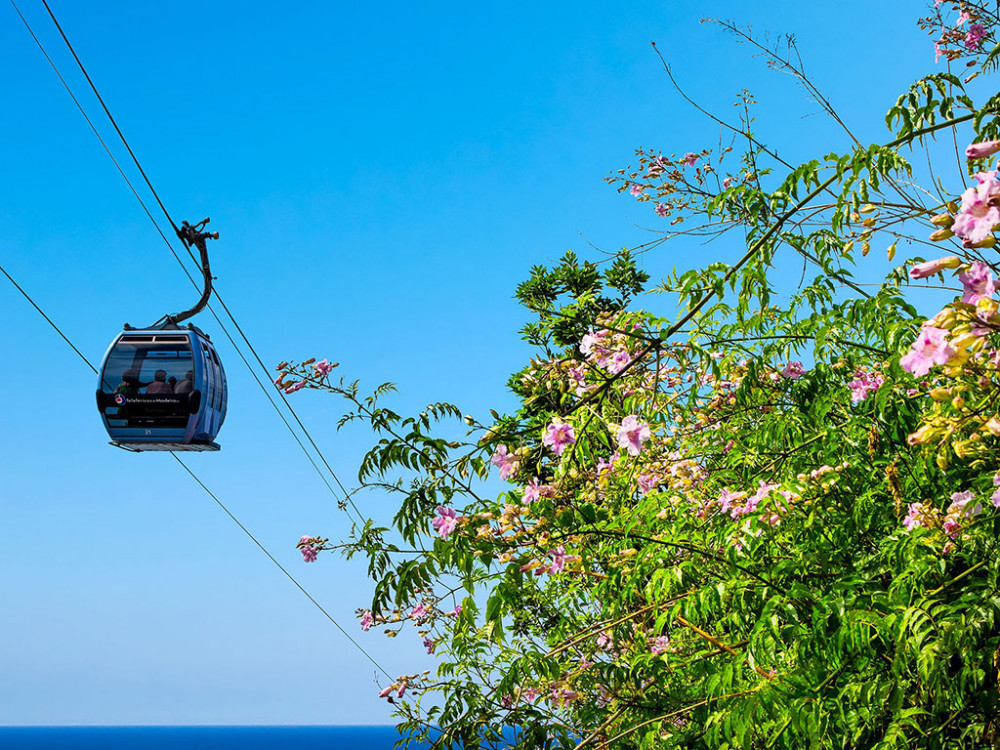 Madeira - Private Cable Car And Toboggan - Funchal | Project Expedition