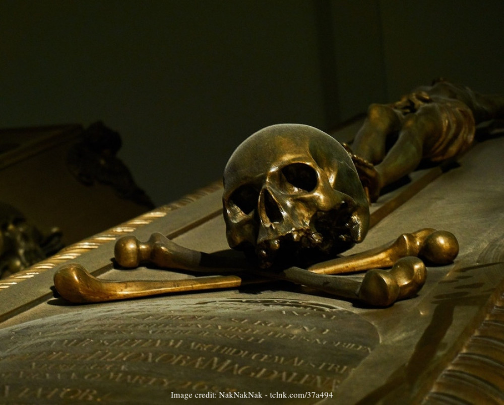 The Catacombs of St. Stephen’s Cathedral: Private 2.5-hour Tour ...