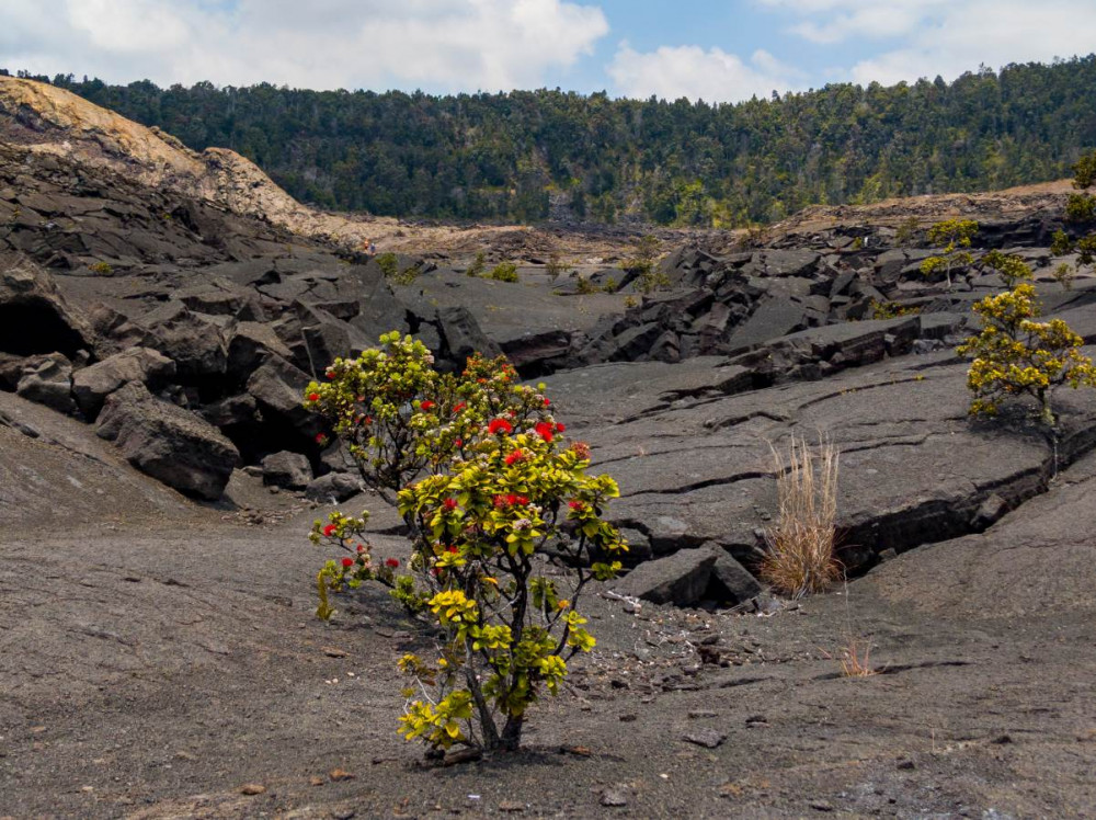 Hawaii Volcanoes National Park Self-Guided Driving Audio Tour - Kailua ...
