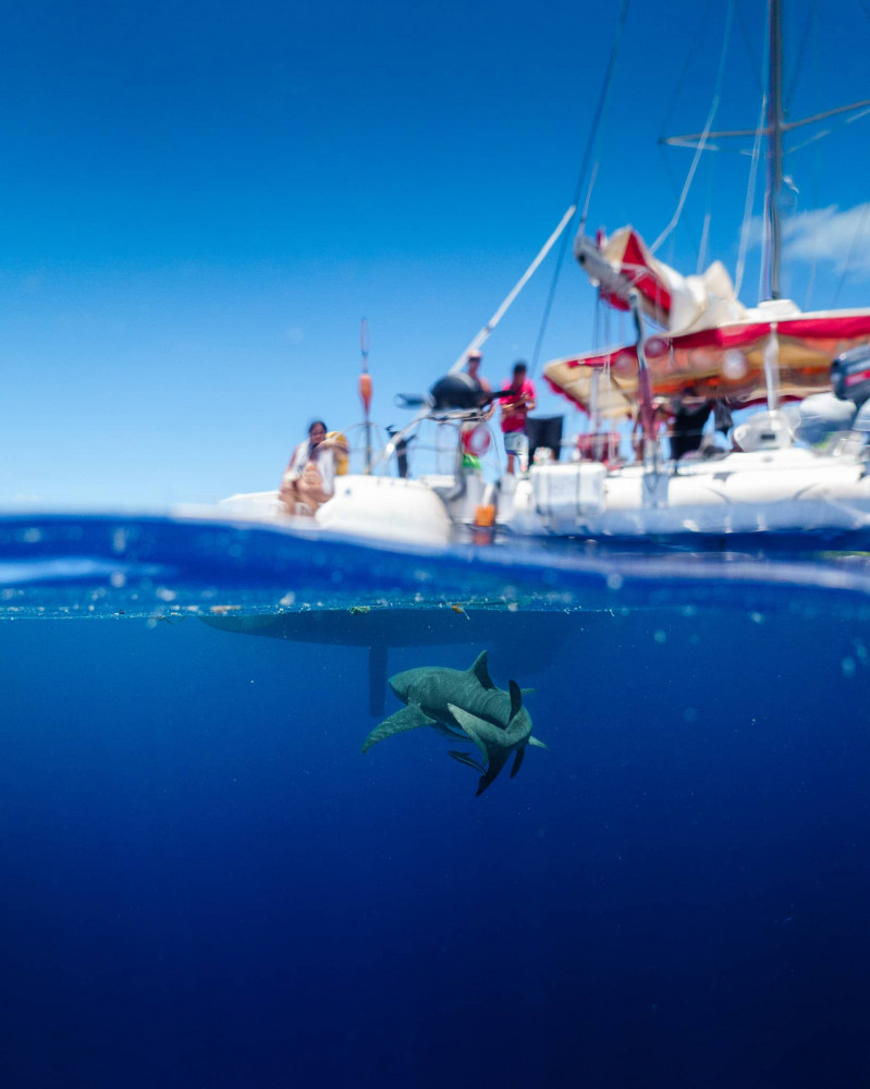 Tetiaroa Day Trip from Tahiti - Papeete | Project Expedition