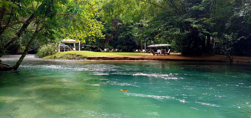 From Ocho Rios: Dunn’s River Falls & Reggae Hill Tour - Ocho Rios ...