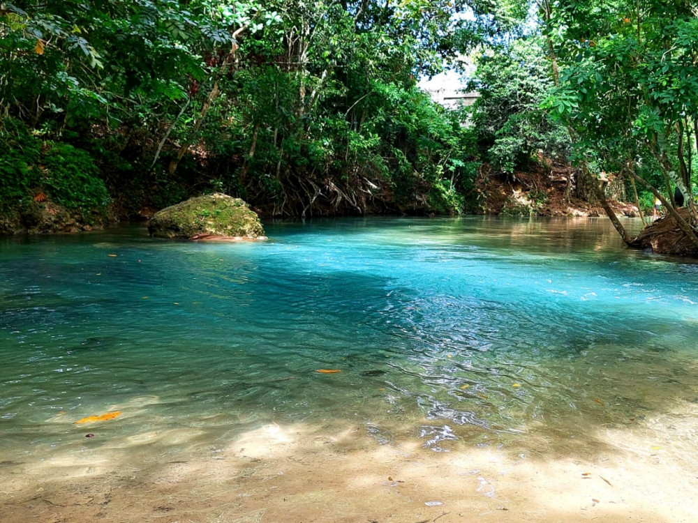 Ocho Rios: Blue Hole, Dunn’s River & Reggae Hill Guided Tour - Ocho ...