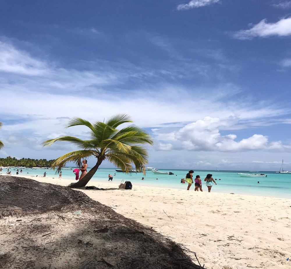 Full Day Saona Island Excursion on Speed Boat or Catamaran with Lunch ...