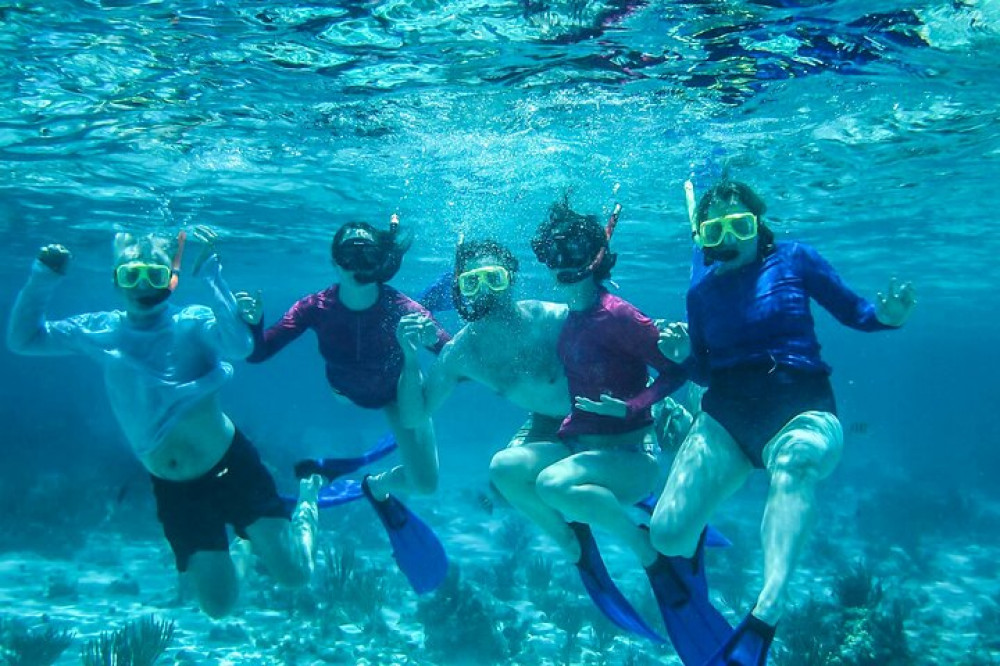 3-Stop: Starfish Point, Stingray City-Sandbar & Barrier Reef - George ...