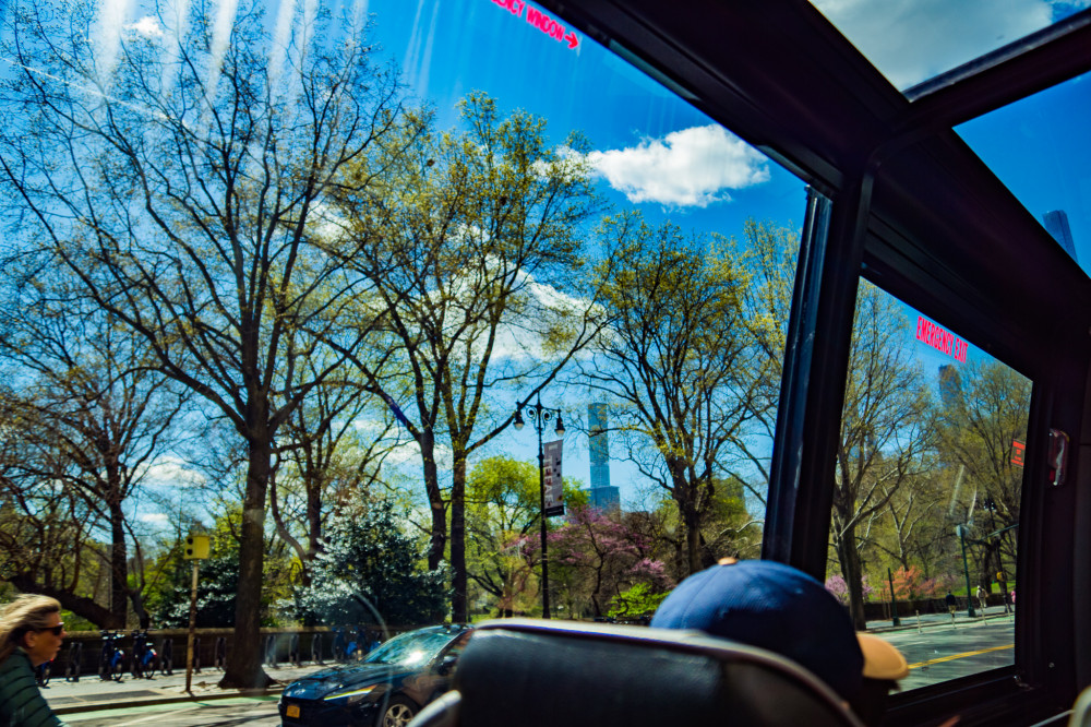 Discover NY Day Tour (Glass-Top Bus) - New York City | Project Expedition