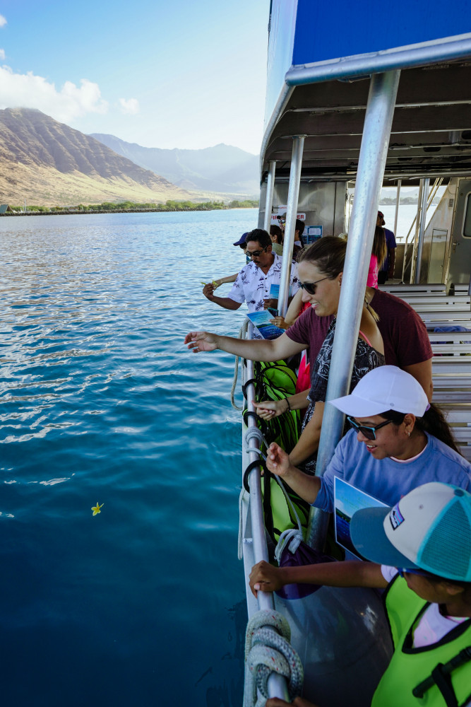 Dolphin Watch, Snorkel, & Waterslide Activities On Oahu - Waianae ...