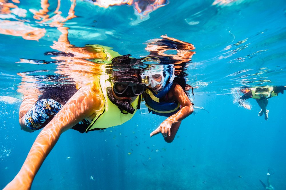 Dolphin Watch, Snorkel, & Waterslide Activities On Oahu - Waianae ...