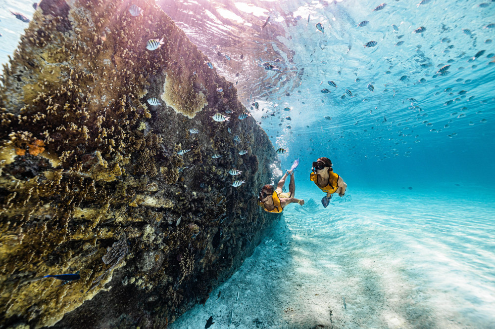5-in-1 Cancun Snorkeling Tour: Turtle Swim, Reef, Musa, Shipwreck ...