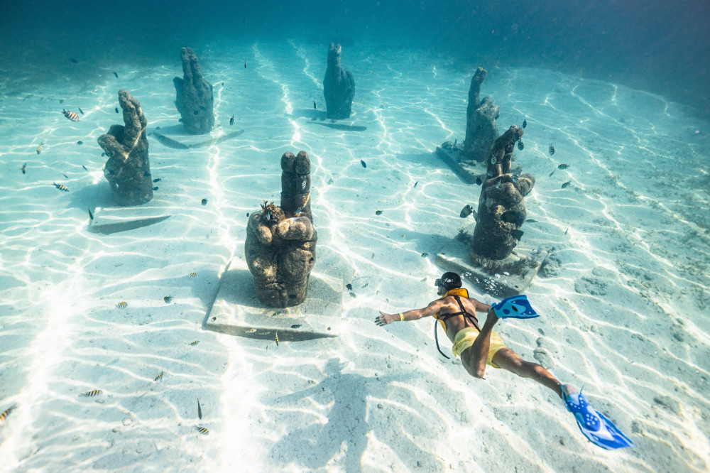 5-in-1 Cancun Snorkeling Tour: Turtle Swim, Reef, Musa, Shipwreck ...