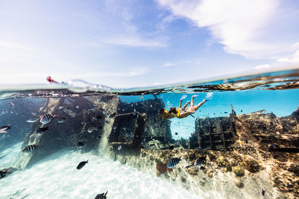 5-in-1 Cancun Snorkeling Tour: Turtle Swim, Reef, Musa, Shipwreck ...