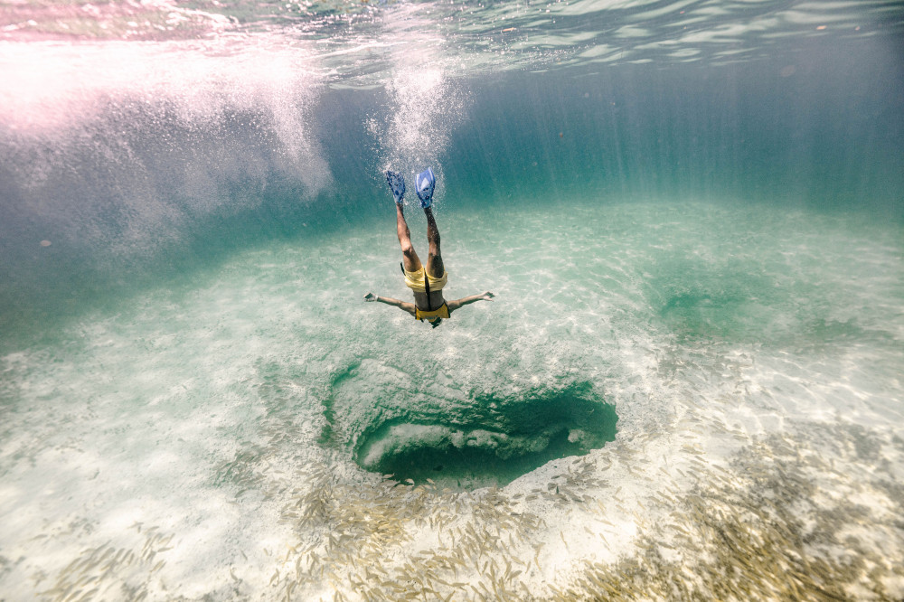 5-in-1 Cancun Snorkeling Tour: Turtle Swim, Reef, Musa, Shipwreck ...