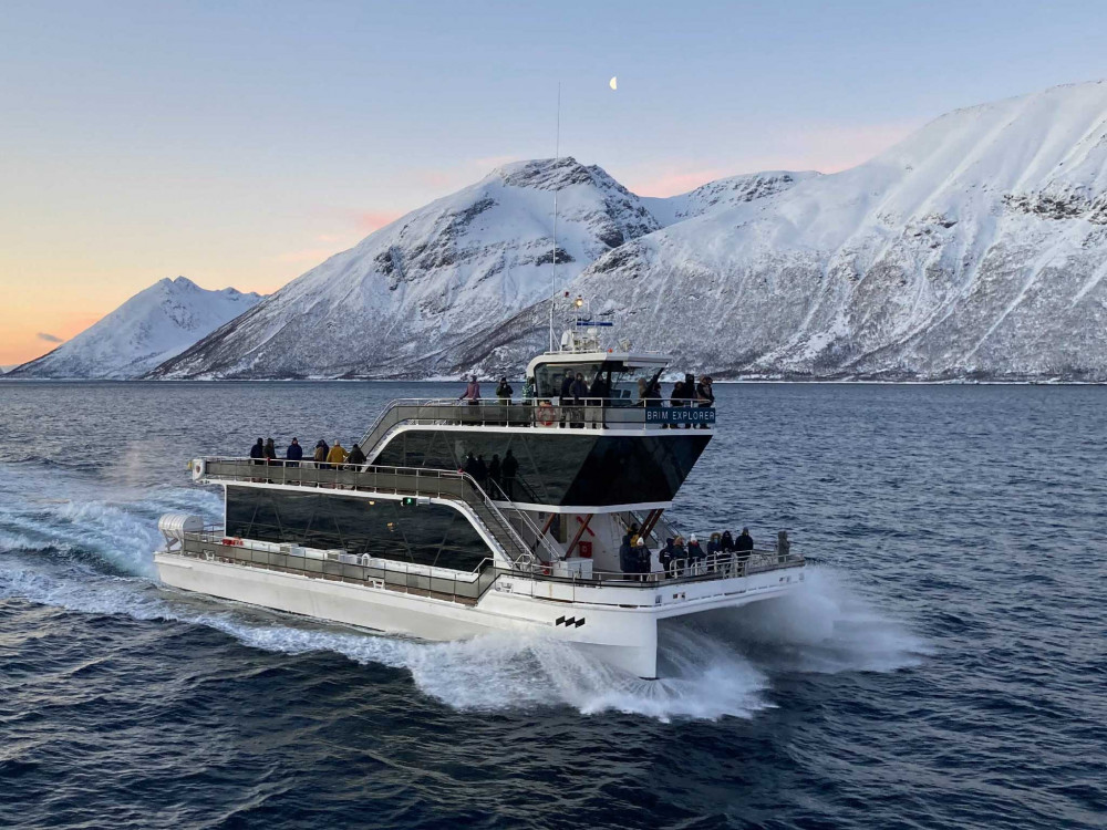 Arctic Fjord Cruise From Tromsø - Tromso | Project Expedition