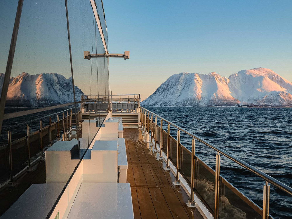 Arctic Fjord Cruise From Tromsø - Tromso | Project Expedition