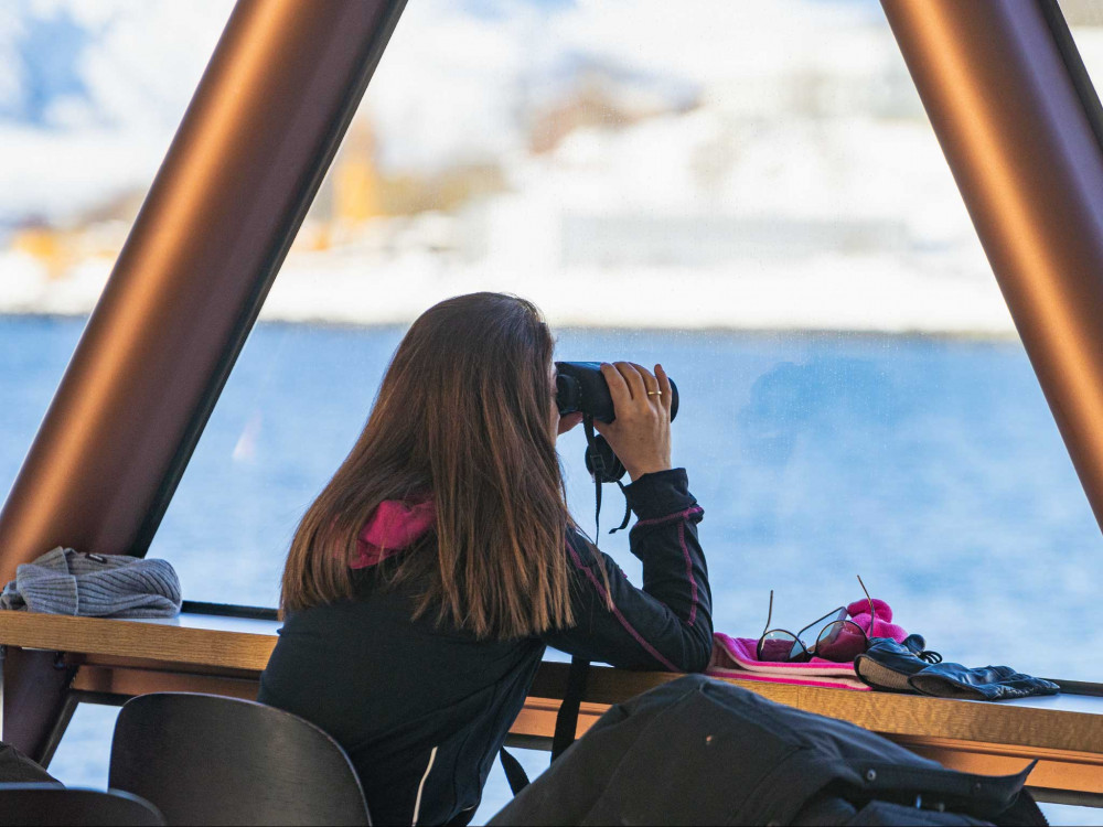 Arctic Fjord Cruise From Tromsø - Tromso | Project Expedition