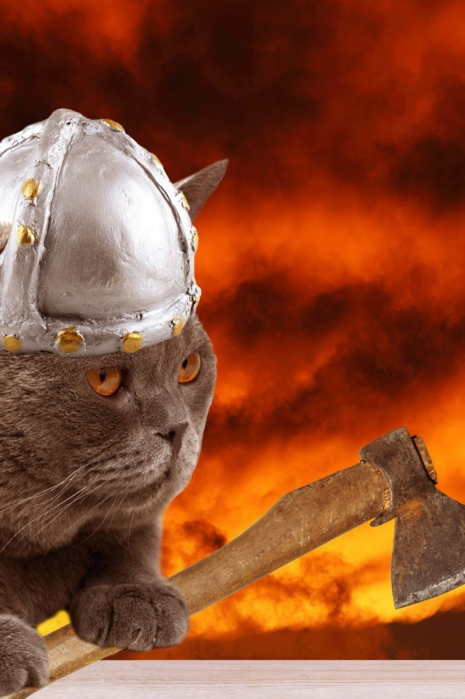 The Reykjavik Catwalk - Reykjavik | Project Expedition