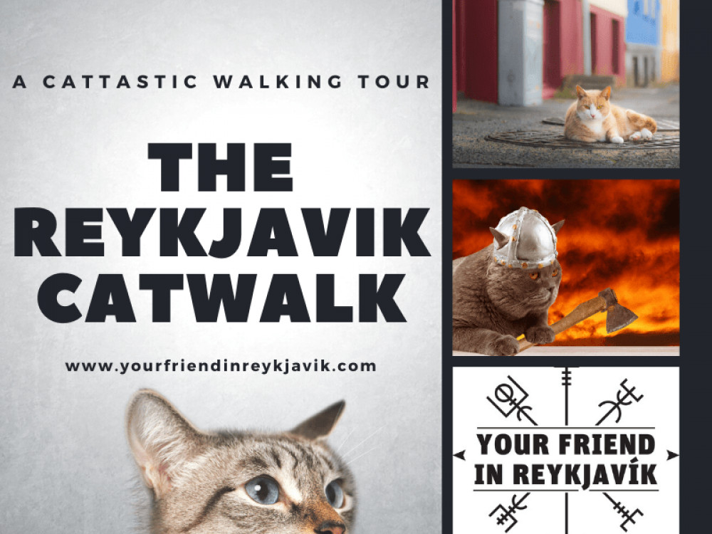 The Reykjavik Catwalk - Reykjavik | Project Expedition