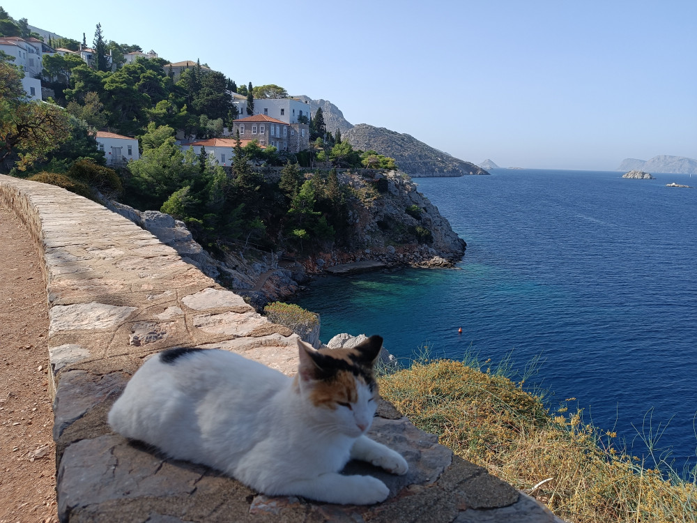 Hydra Island from Athens by Commercial Passenger Boat With Private ...