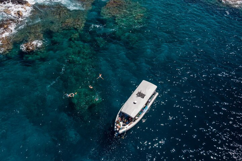 Kona Whale Watching - Kailua-Kona | Project Expedition