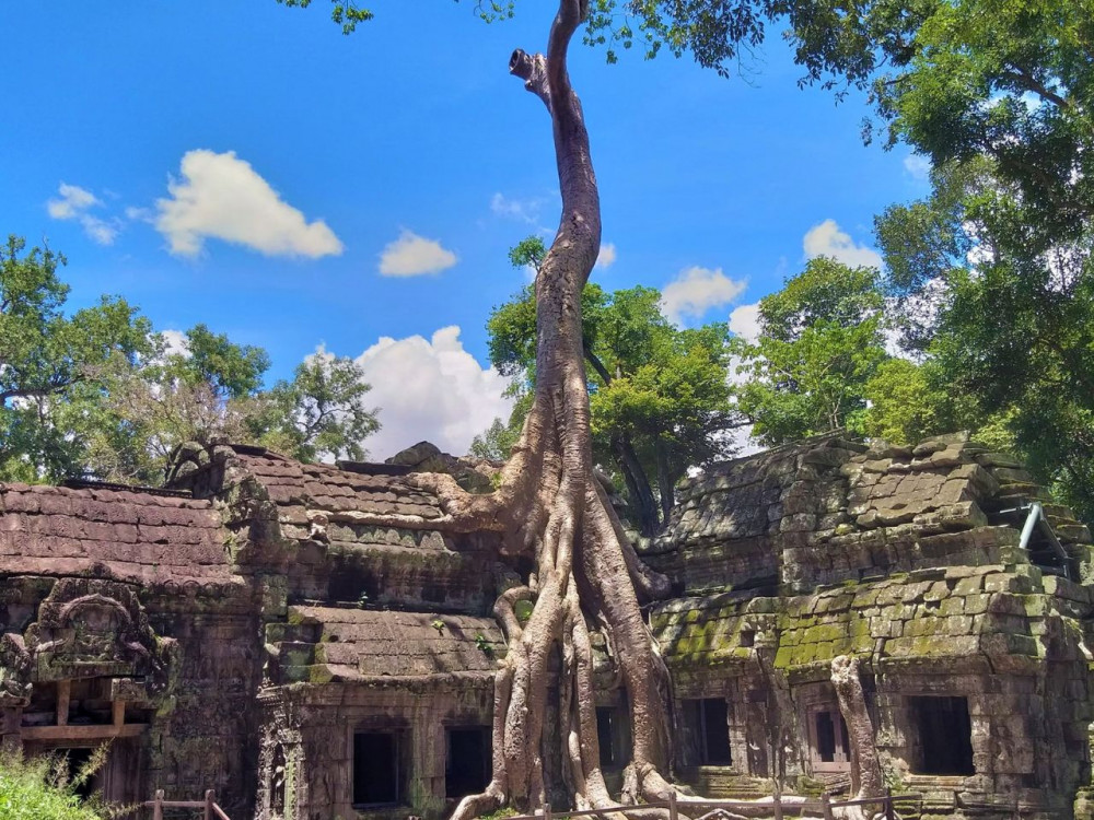 Angkor Wat Sunrise & Highlight Temples Private Guided Day Tour - Siem ...