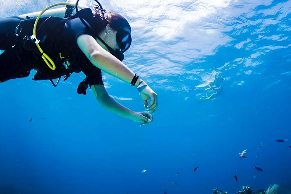 Scuba Diving Tulum Beginners: Explore the Amazing Submarine Life ...