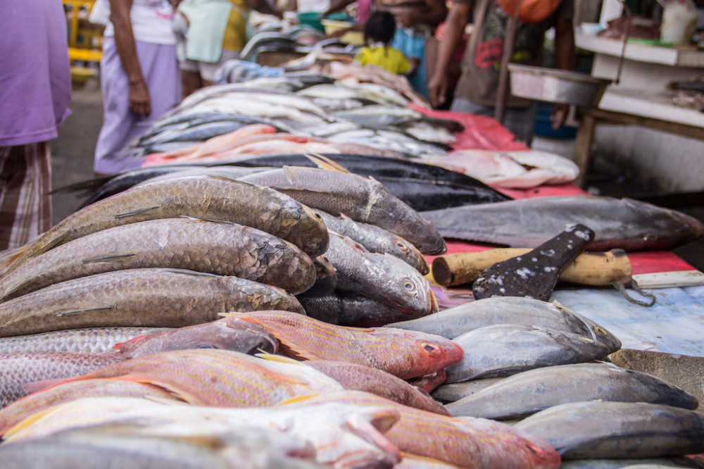 Discover Cartagena's Bazurto Market: Authentic Food & Culture ...
