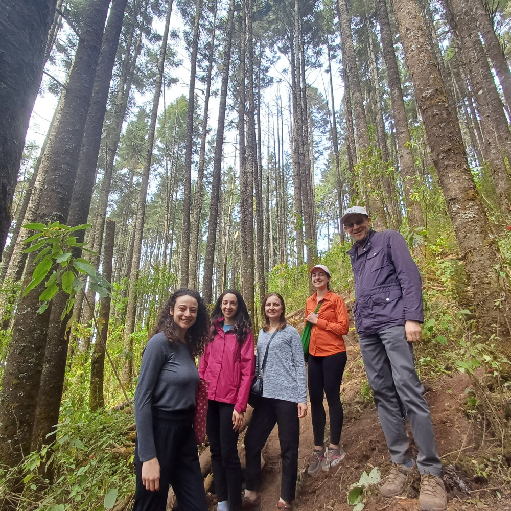 Monarch Butterfly Mexico Reserve: Piedra Herrada Tour and Valle de ...
