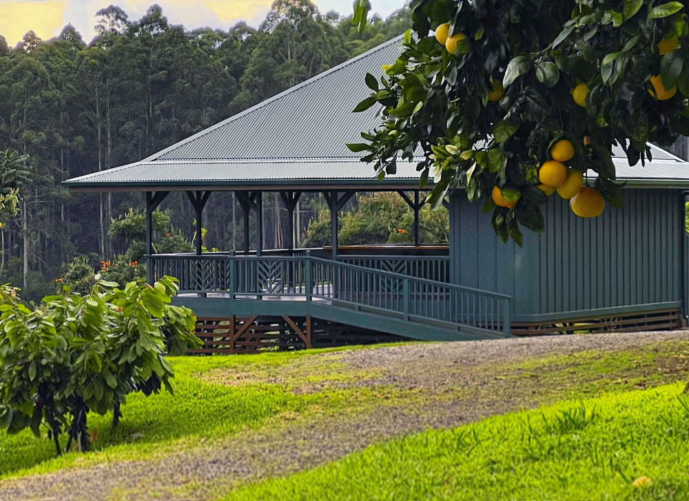 Farm Tour & Hawaiian Craft Chocolate Experience - Hilo | Project Expedition