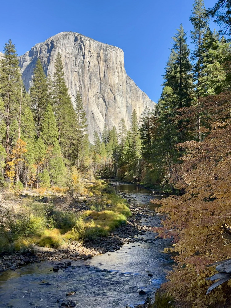 Yosemite and Giant Sequoias One Day Tour from San Francisco - San ...