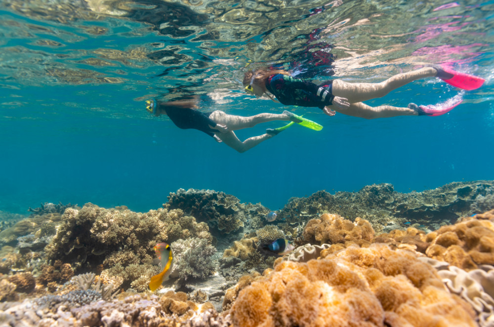 Sunlover Reef Cruises - Project Expedition