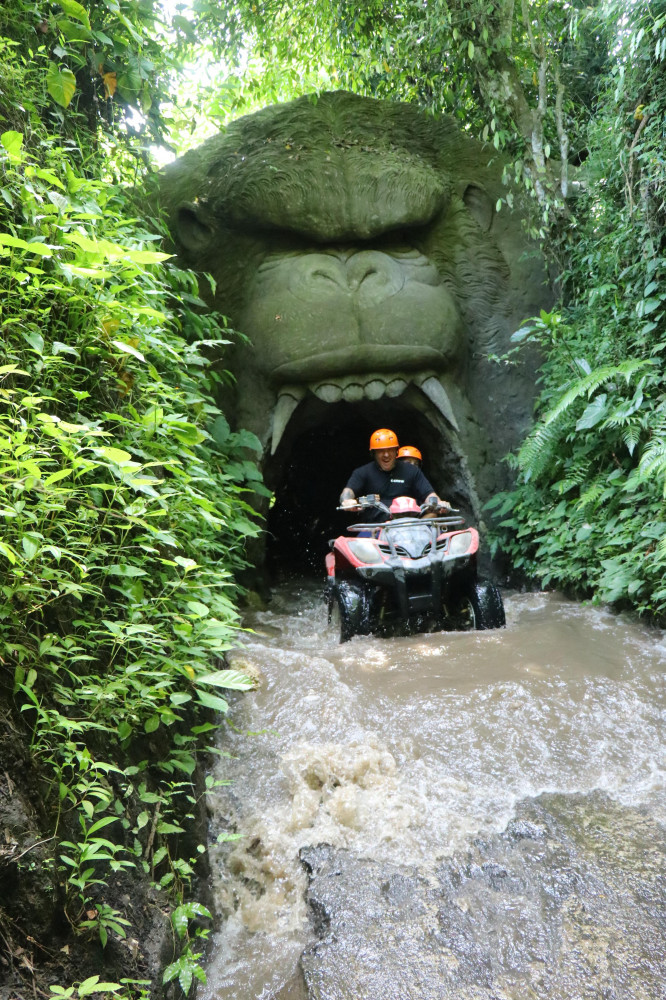 Bali ATV Across Rivers, Caves, Rice Fields & Waterfalls with Infinity ...