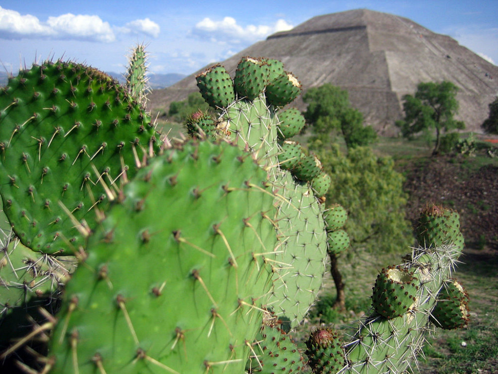 Tour Teotihuacan: Visit Ancient Pyramids and Craft a Colorful Piñata ...