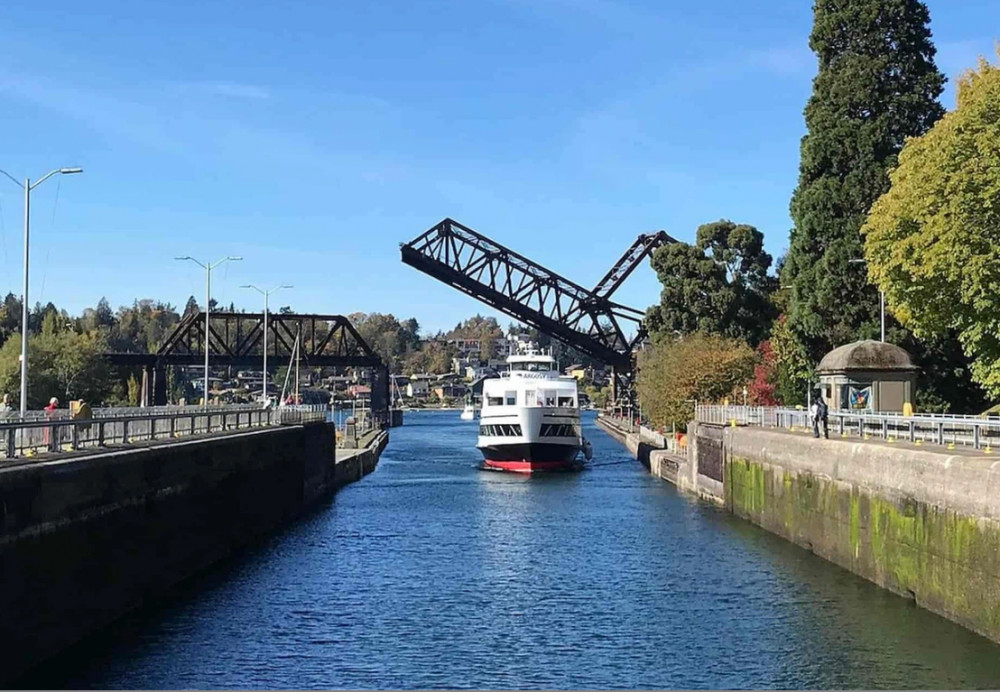 City Sightseeing 24/48HR Hop On Hop Off Bus Tour Seattle + Locks Cruise ...