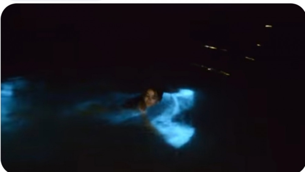 Luminous Lagoon Dark Night Tour from Ocho Rios and Runaway Bay Hotels ...