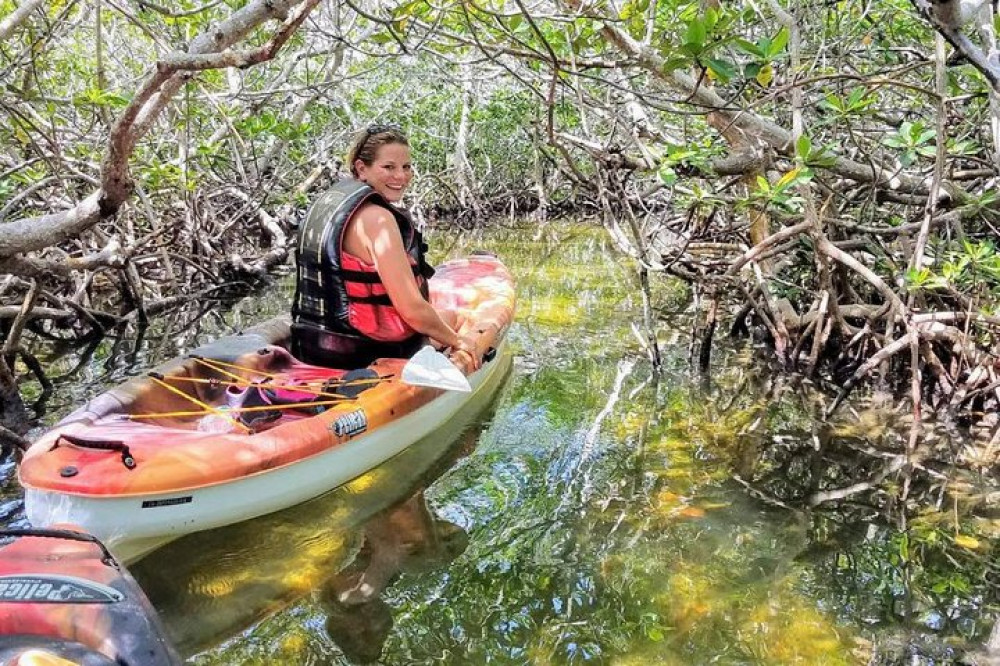 Florida Keys Marine Eco Adventure~Kayak + Snorkel - Miami | Project ...