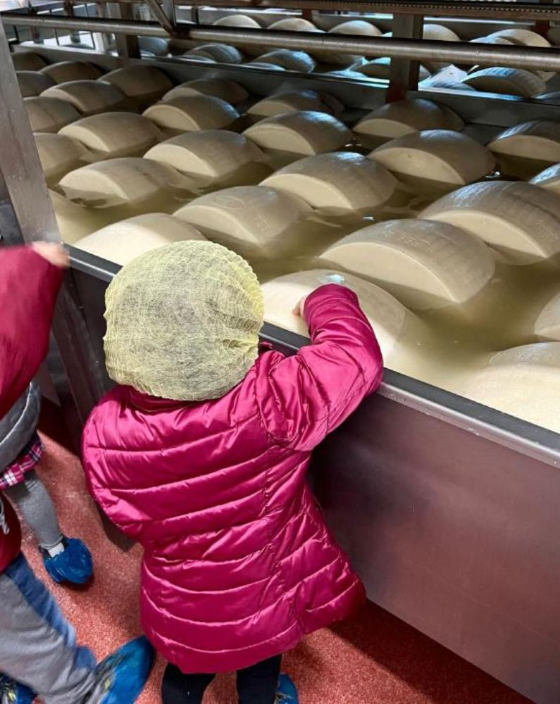 Parmigiano Reggiano Cheese Factory&Traditional Balsamic Vinegar ...