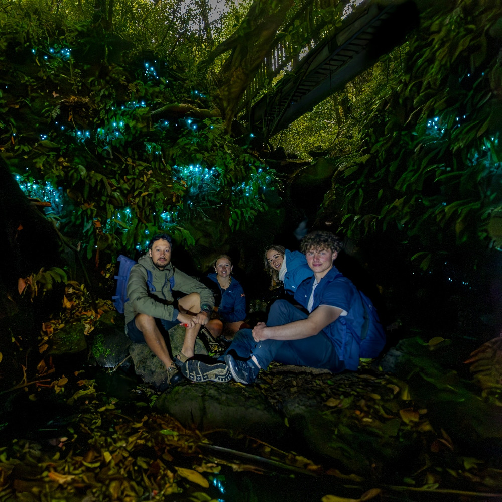 The ONLY Inner City Auckland Glowworm Tour - Auckland | Project Expedition