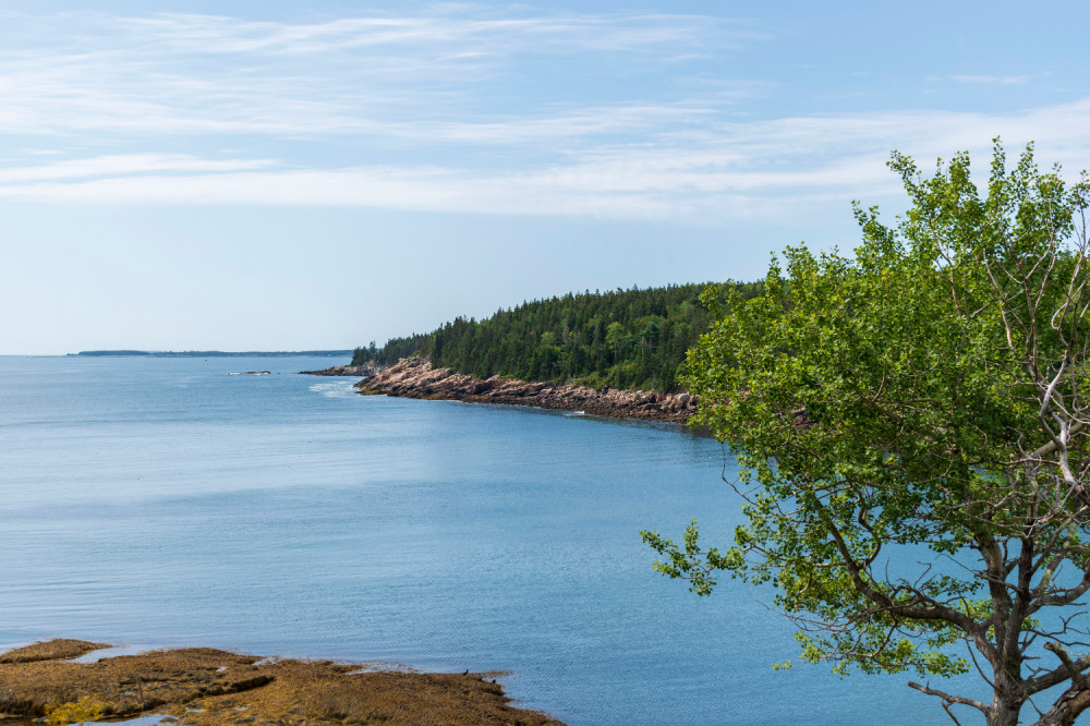 Ocean Path Trailhead Self-Guided Walking Tour - Bar Harbor | Project ...