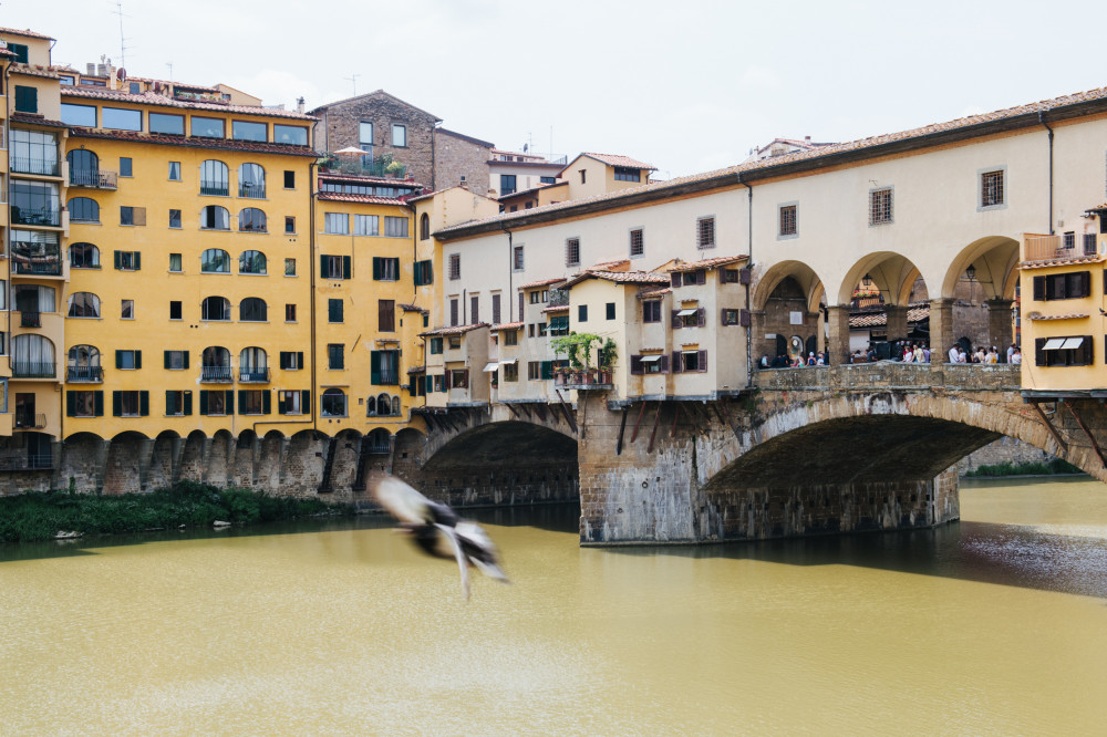 From Livorno: Shore Excursion to Florence & Pisa Shore Excursion ...