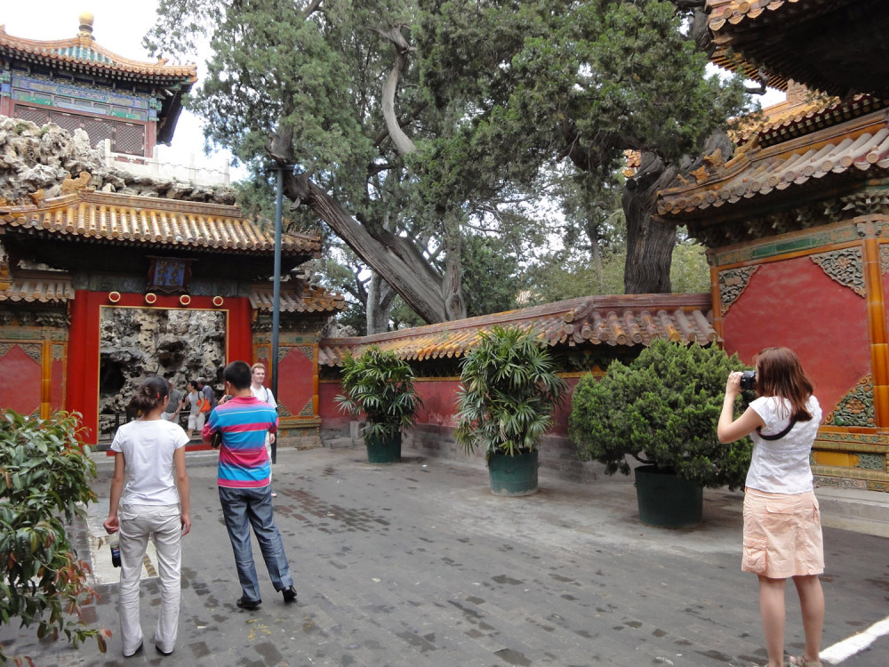 Half Day Mini Group Forbidden City Tour, No Shopping - Beijing ...