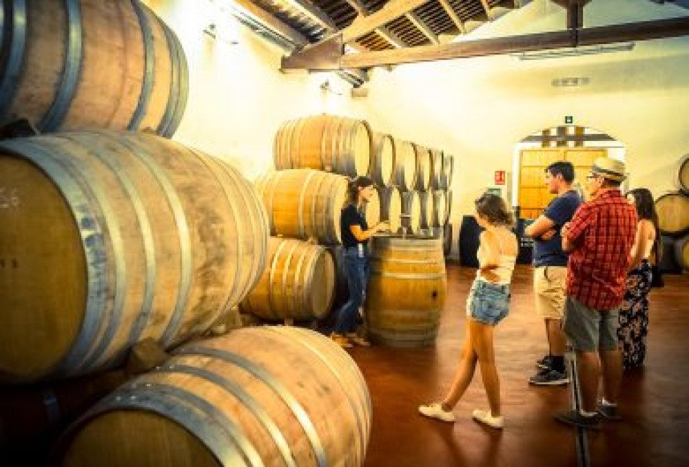 Private Cava and Wine Day Trip from Barcelona - Barcelona | Project ...
