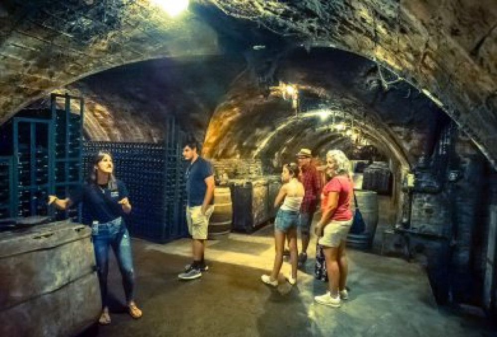 Private Cava and Wine Day Trip from Barcelona - Barcelona | Project ...