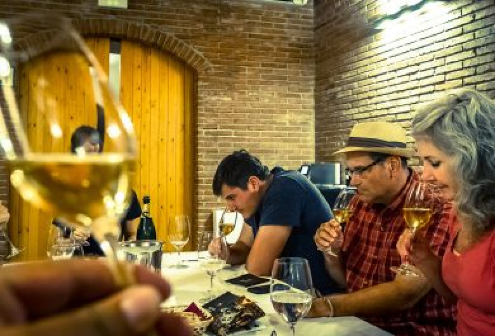 Private Cava and Wine Day Trip from Barcelona - Barcelona | Project ...