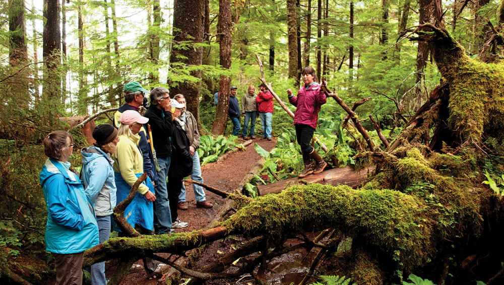 Rainforest Canoe Adventure & Nature Trail - Ketchikan | Project Expedition
