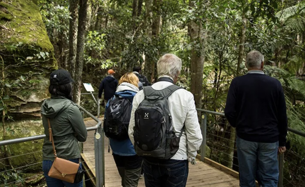 Anderson Tours AU | Project Expedition