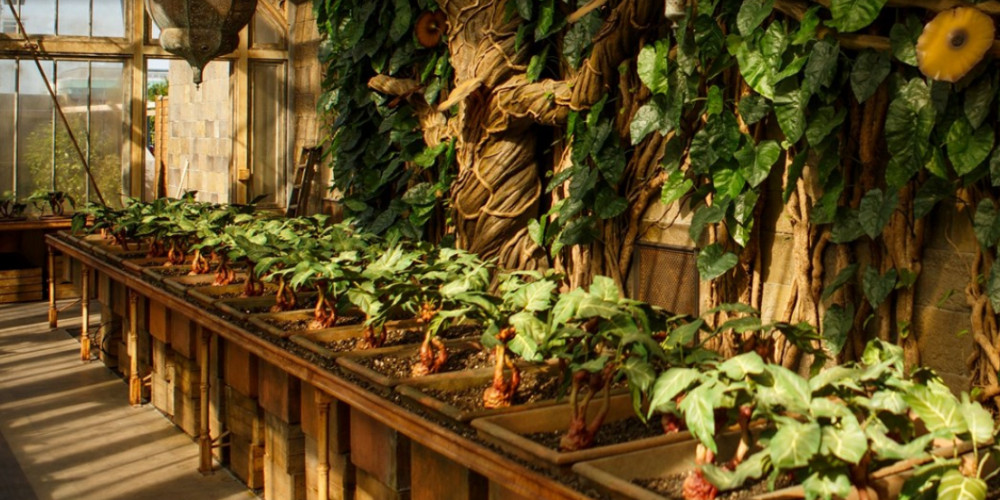 Warner Bros. Studio Tour London - The Making of Harry Potter - London ...
