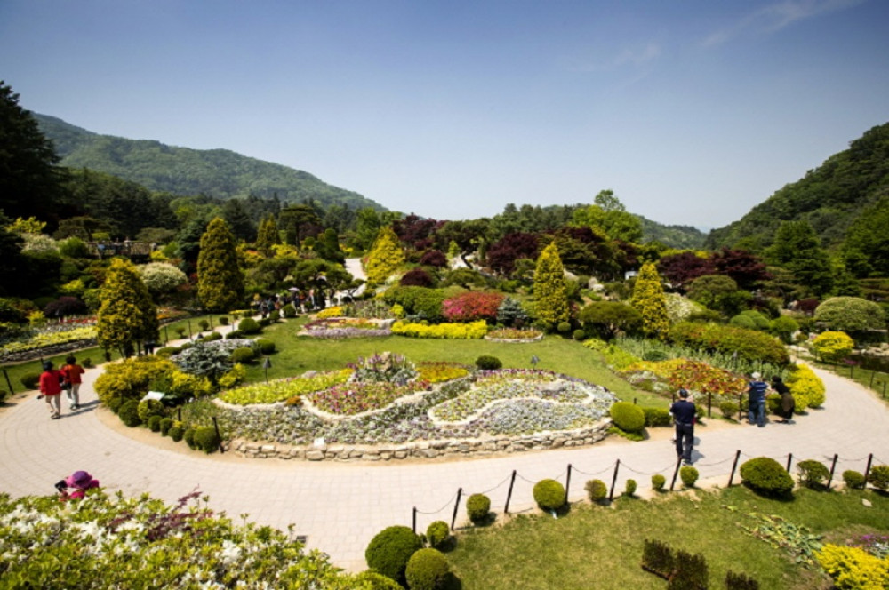 Garden of Morning calm + Nami Island + Petite France - Seoul | Project ...
