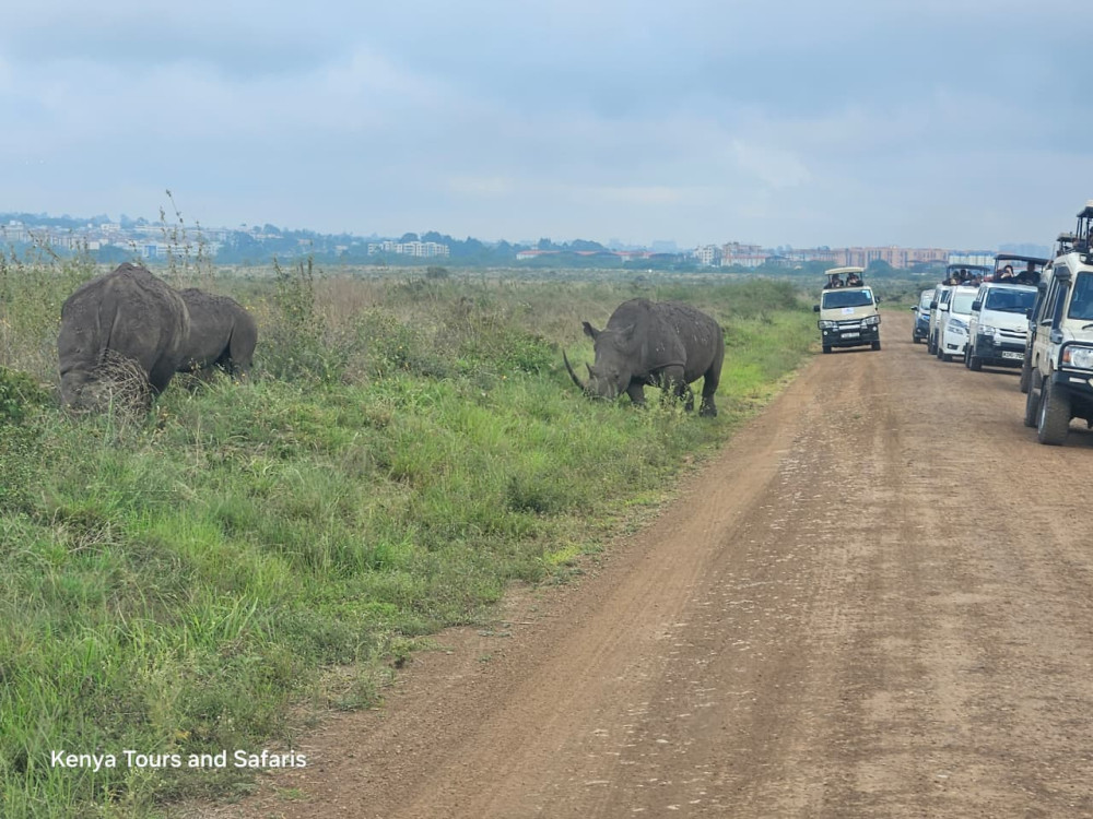 Nairobi: National Park, Elephant Orphanage & Giraffe Center - Nairobi ...