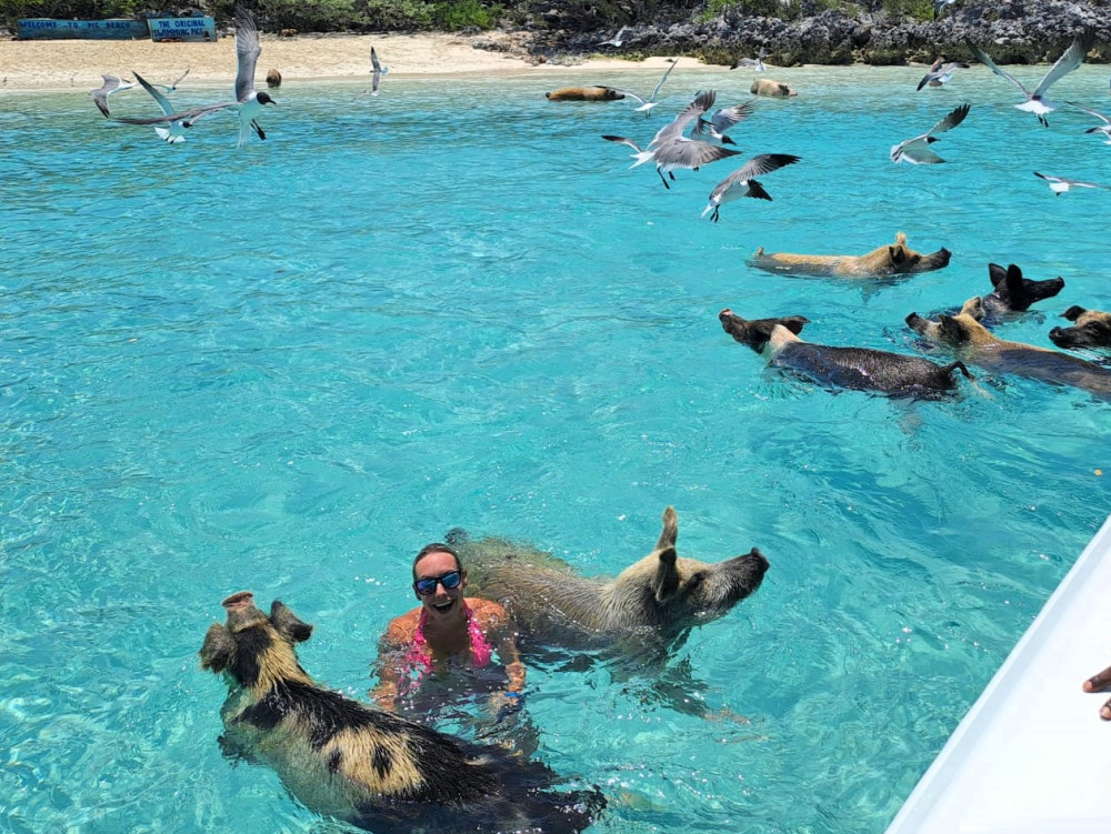 Exuma Island Hopping Swimming Pigs Tour with Lunch from Nassau - Nassau ...